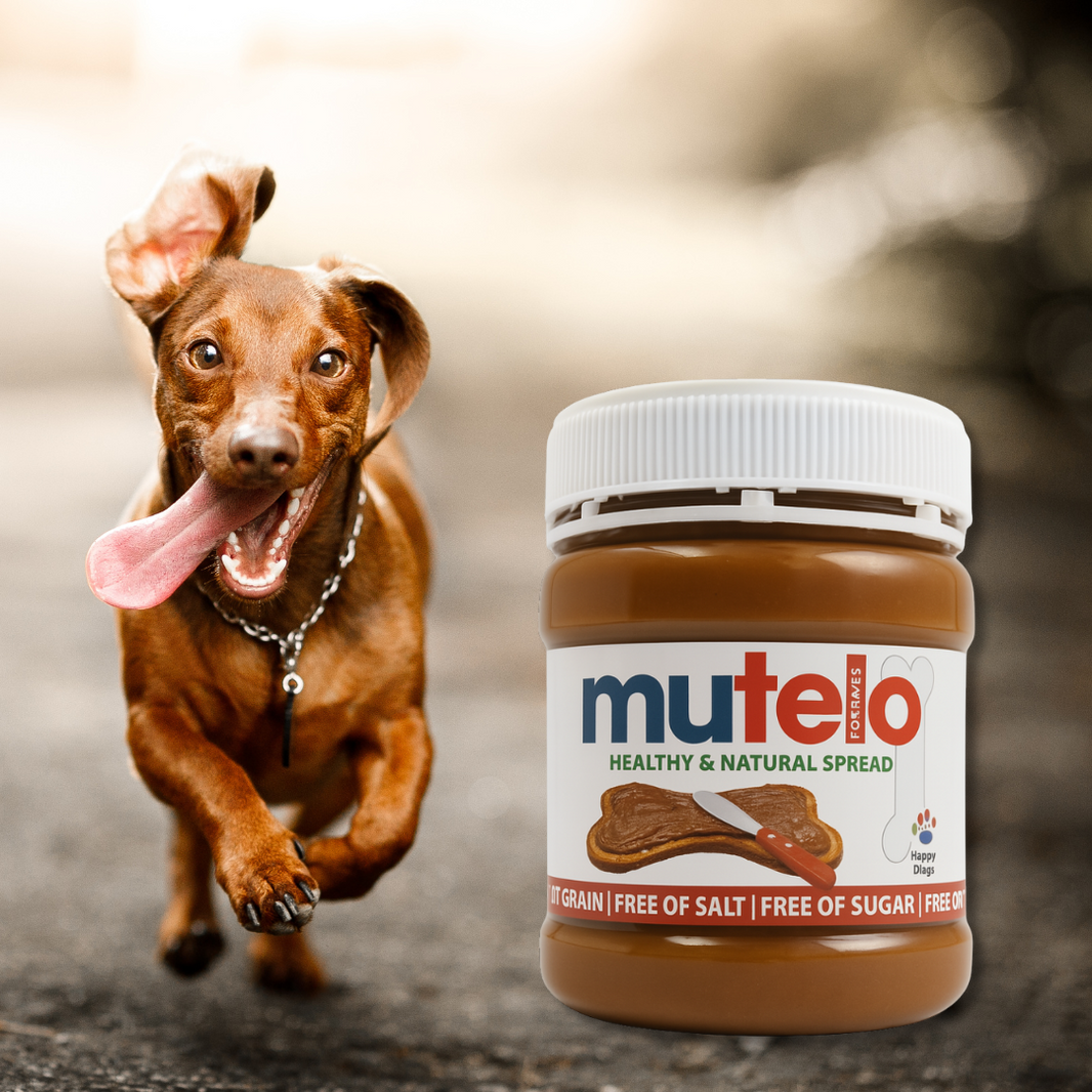 Dog Enrichment – Rescue Roast® Coffee
